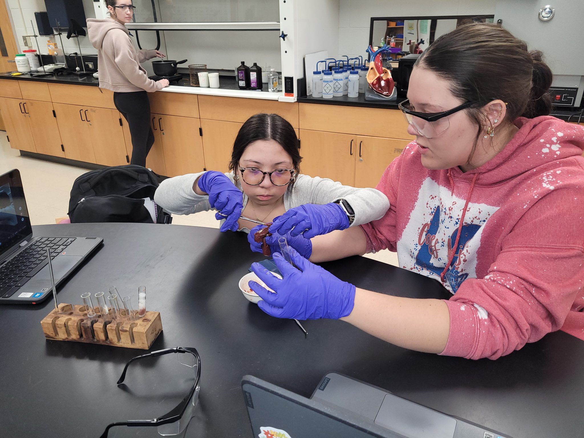 Chemistry Chemical Reactions – Lewis Cass Schools